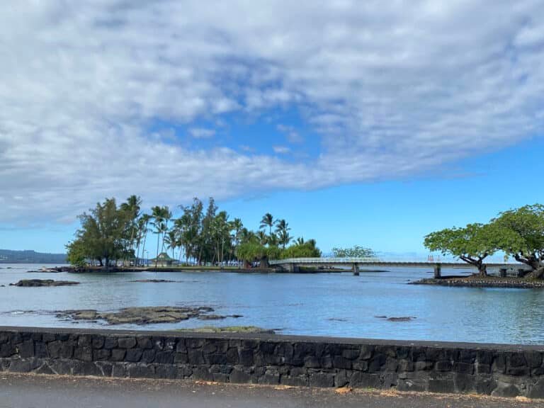 18 Amazing Beaches on the Big Island of Hawaii - RoseBee and Reya ...